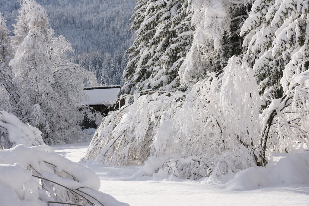 Stubaier Hof in Fulpmes im Stubaital - Alpin Resort Stubaier Hof